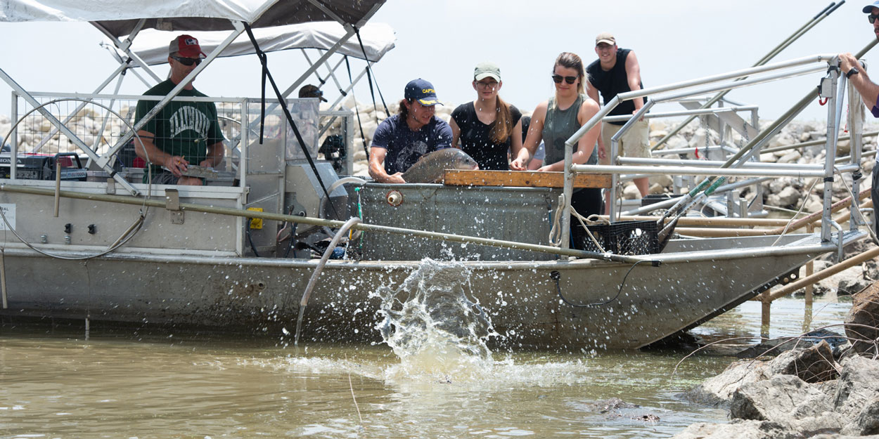 Environmental Sciences (MS)