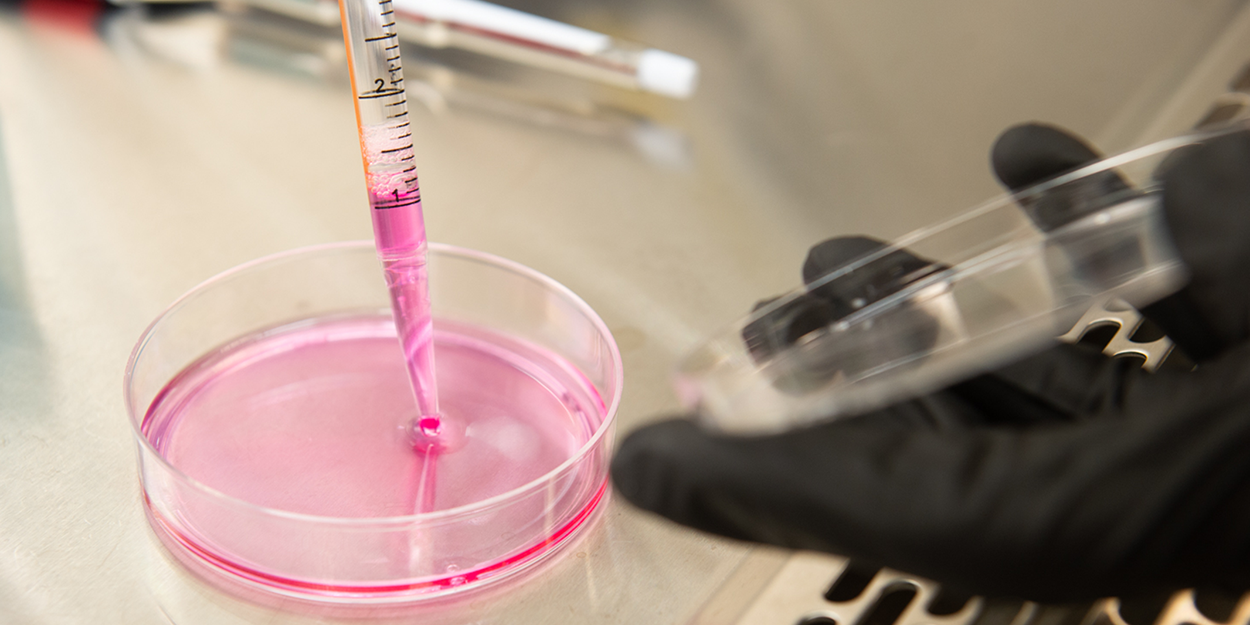 Forensic Sciences (MS) | SIUE