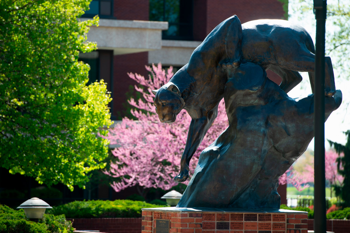 Industrial-Organizational Psychology (MA)