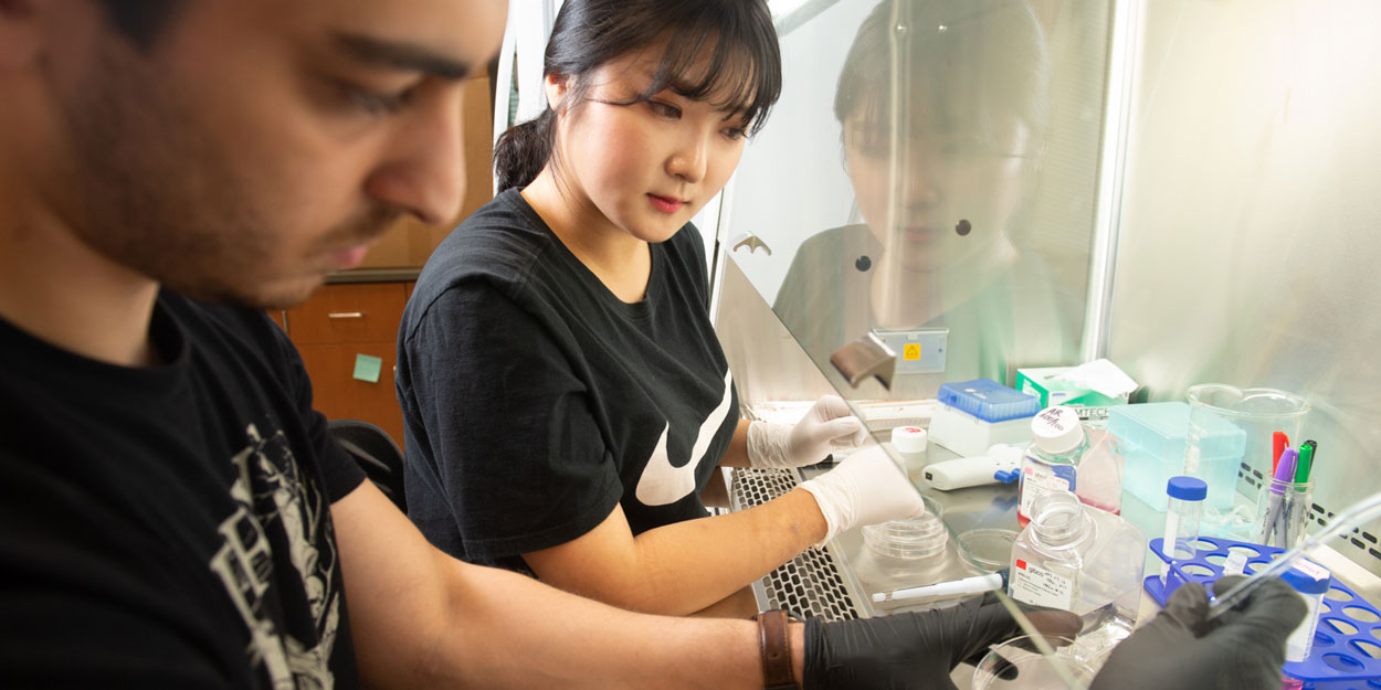 Biological Sciences (BA, BS)