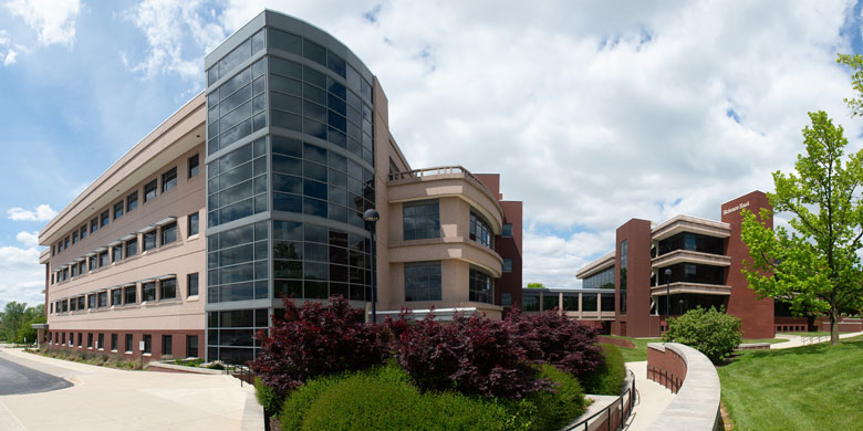 Environmental Sciences (BA, BS)