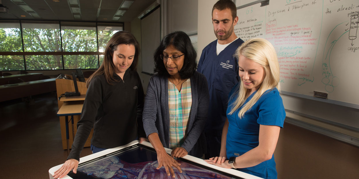 Nursing - Traditional (Option)