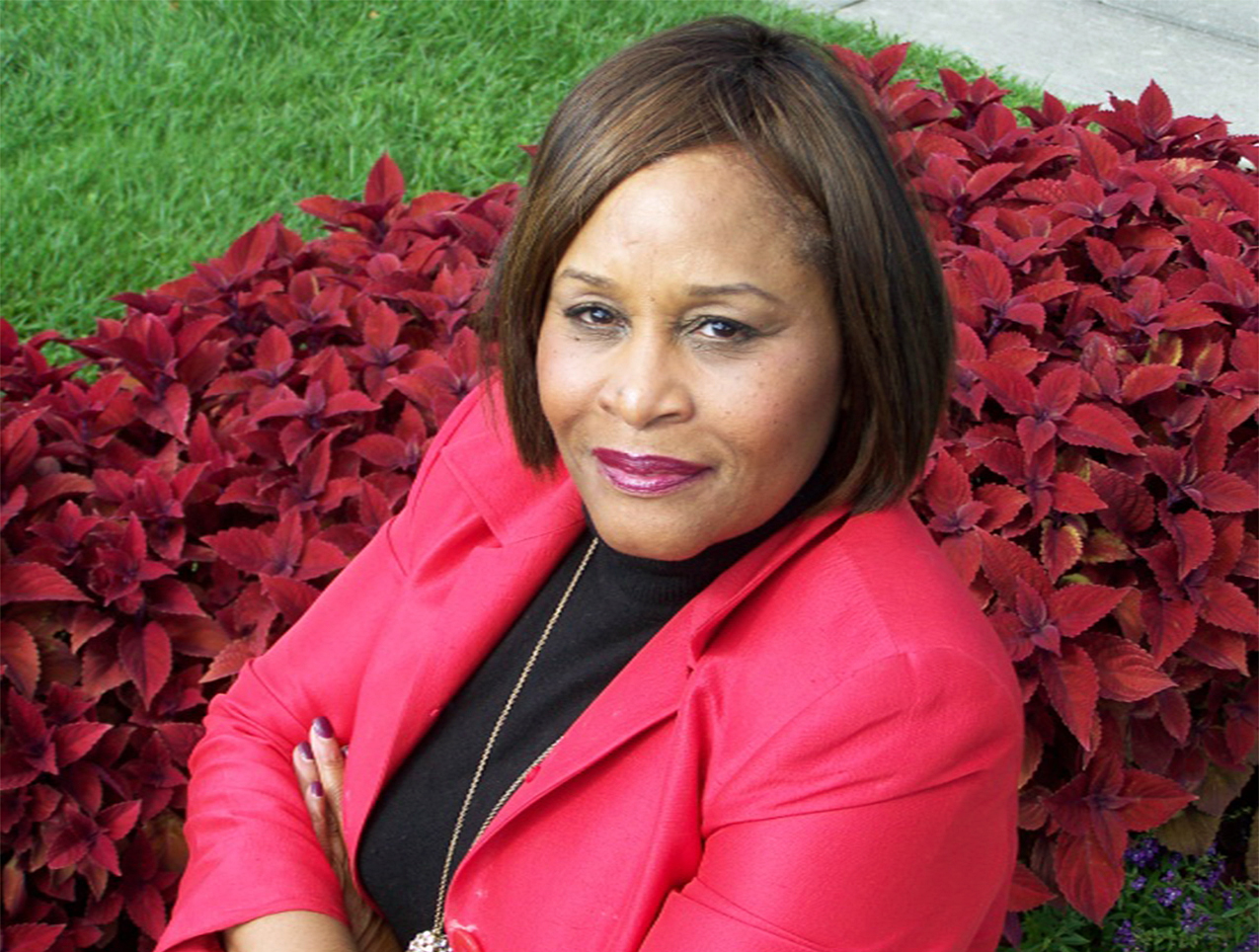 2018 INSIGHTS Bios - | SIUE