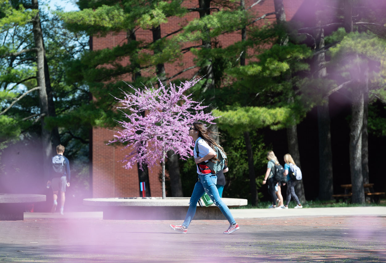 Southern Illinois University Edwardsville | SIUE