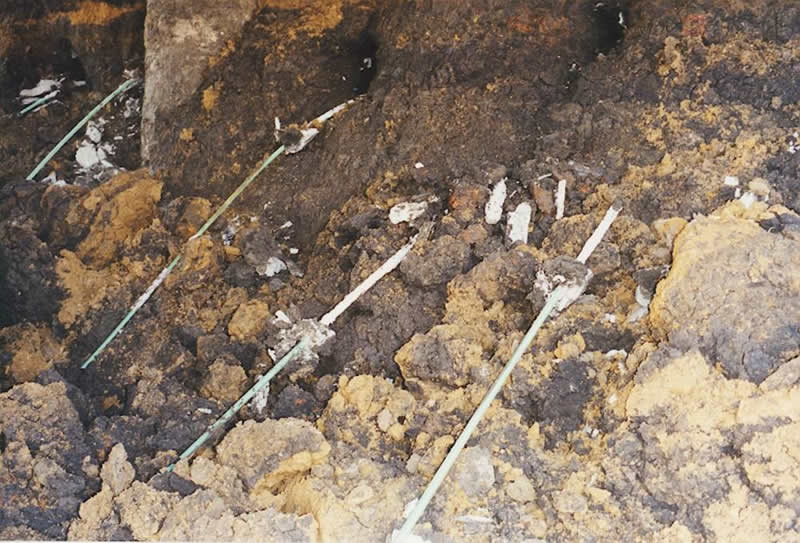 1_home [www.siue.edu]