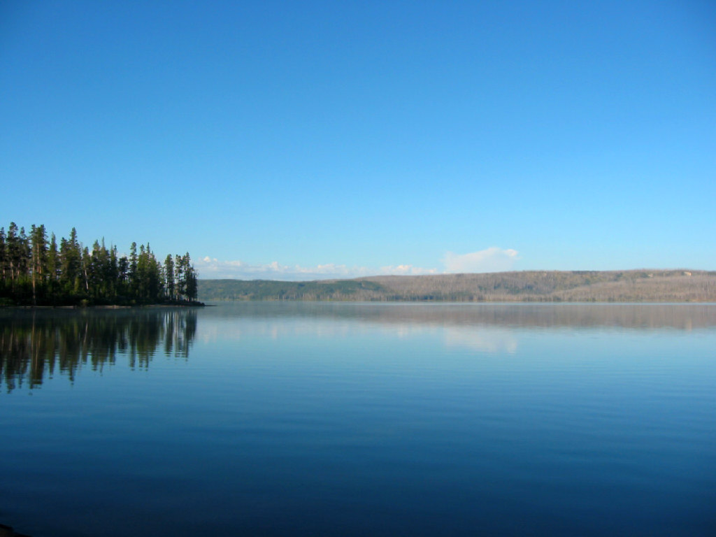 Yellowstone Trip August, 2003